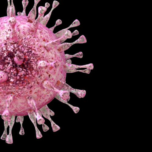 ViralVacDB | Exanthematous